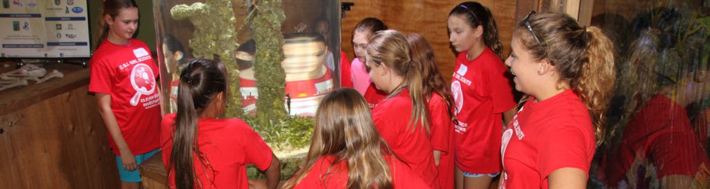 Field Trips | River Center