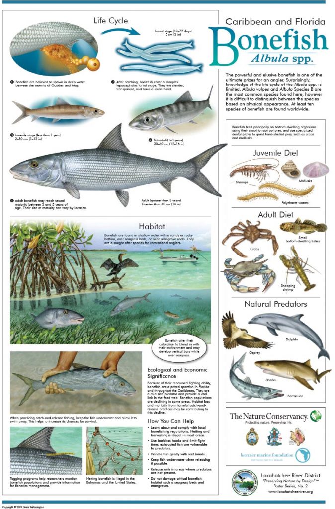 Resources | River Center