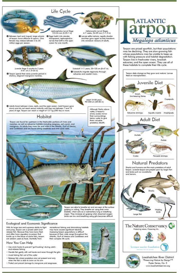 Resources | River Center